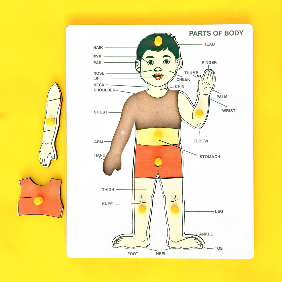 Mother Touch Toys - Wooden Body Parts Board: Learn About Your Body ...